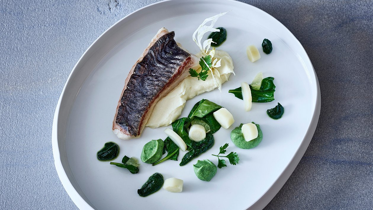 Sautierter Wels mit Pastinakenpüree